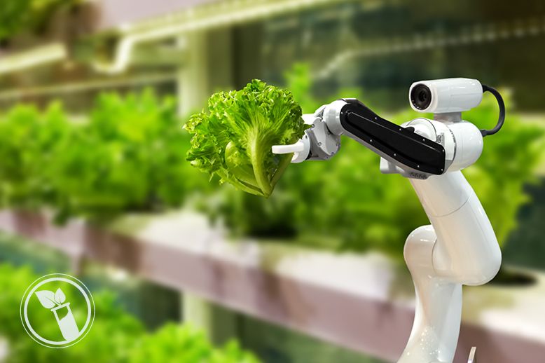 AgriTech & FoodTech: Technology to feed the world