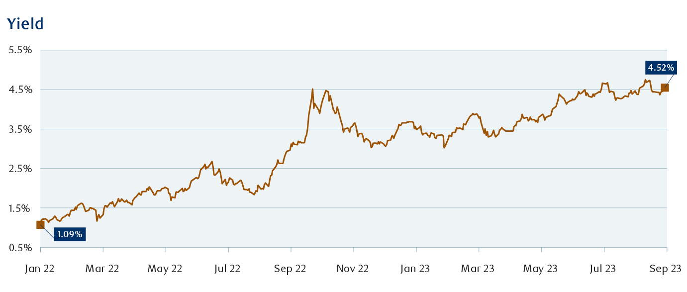 Investing in bonds and gilts: What you need to know