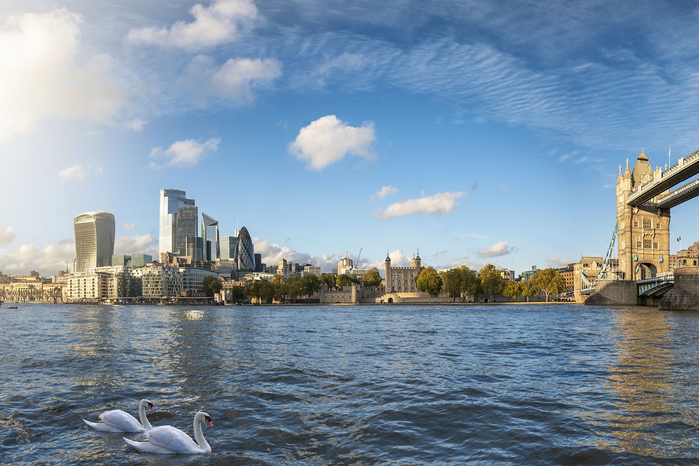 How citizen scientists and ZSL are helping restore the vital habitat of ...