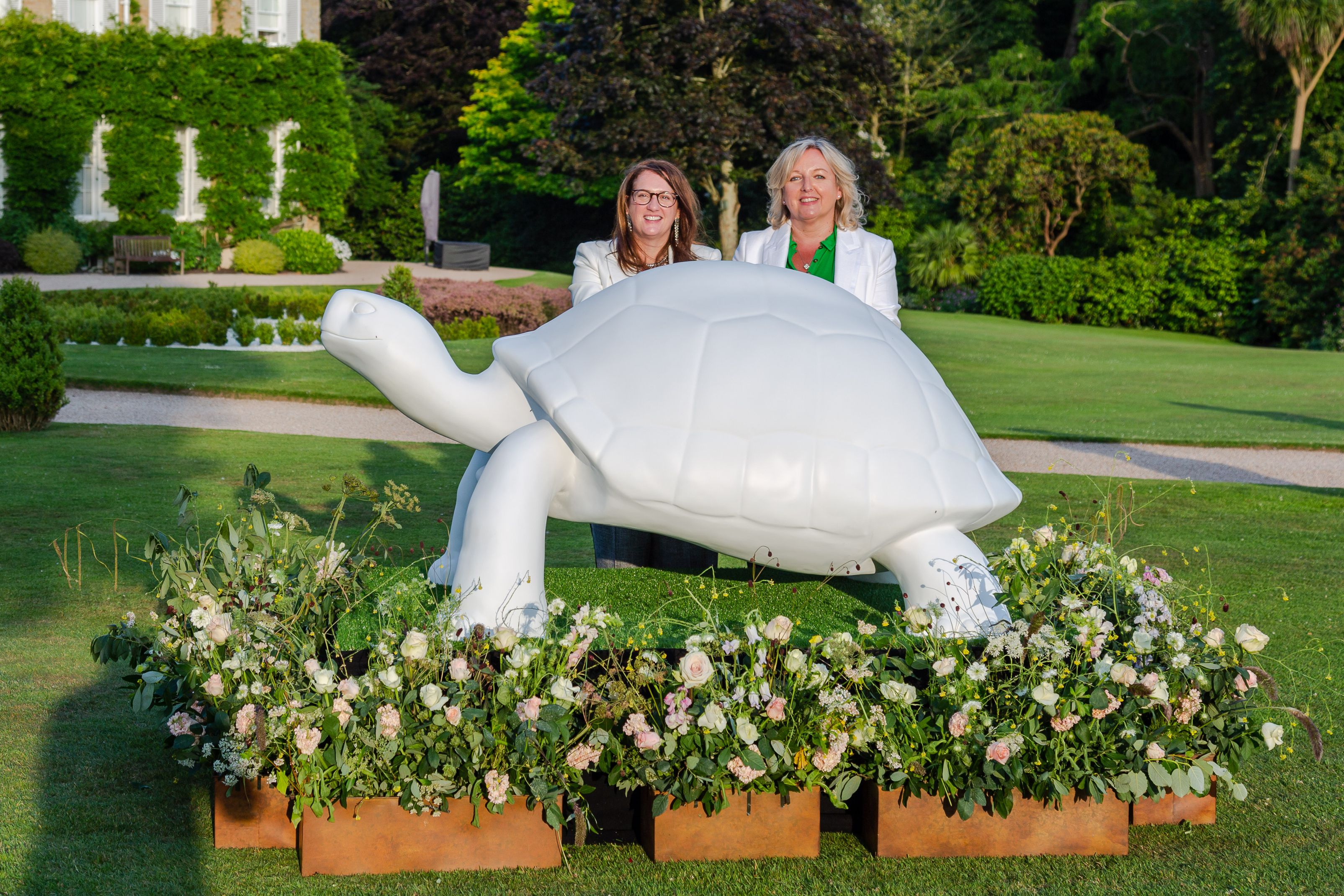 Tortoise art trail takes over Jersey to help protect endangered species