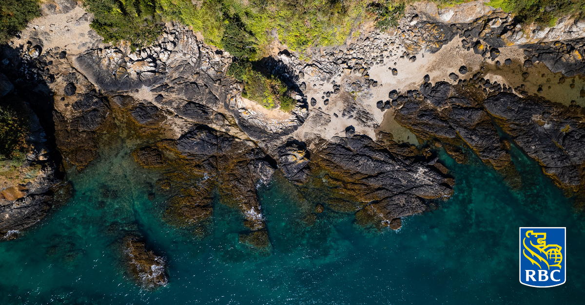 Blue Marine Foundation and RBC are making waves in marine protection ...