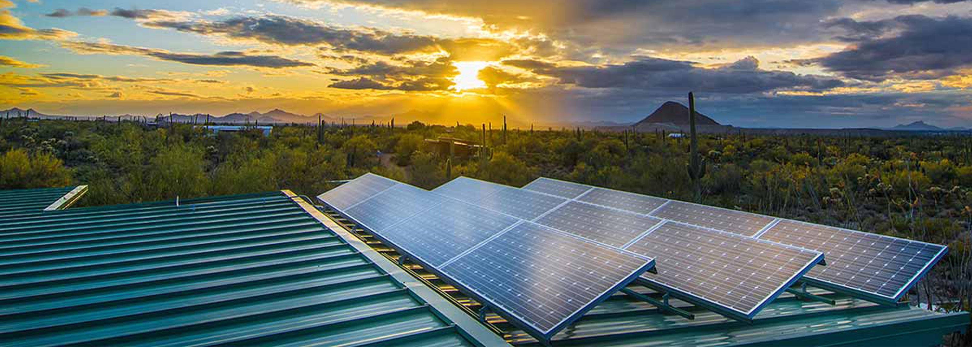 What is ESG investing? How to get started - RBC Wealth Management